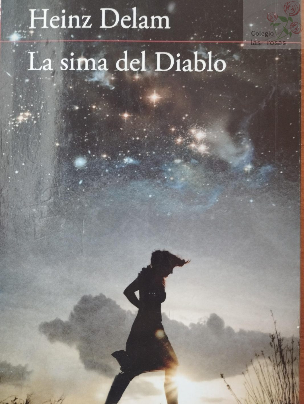 RECOMENDACIONES DE LECTURAS – Colegio Las Rosas Boletín